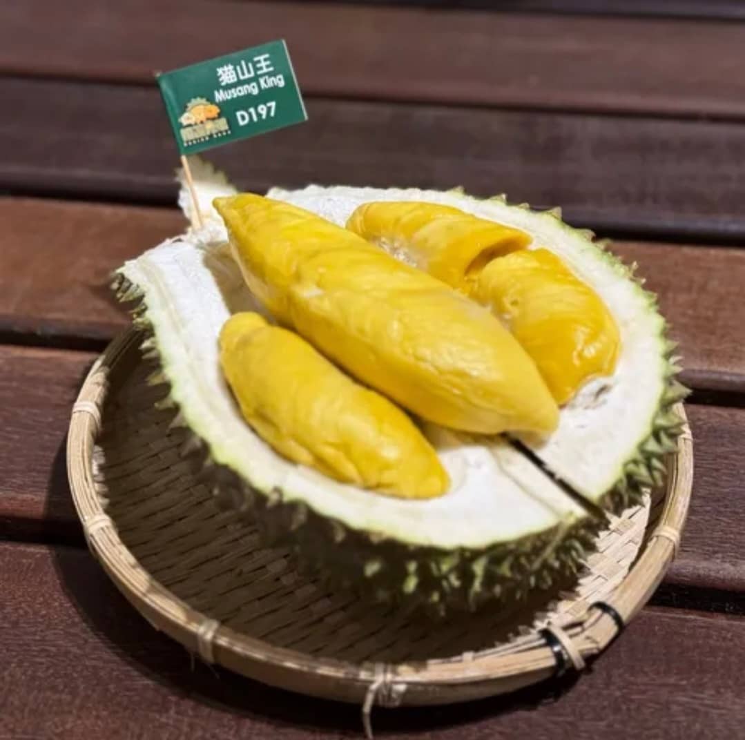 Musang King Durian in KL – Fresh in Bukit Bintang | Durian Bros